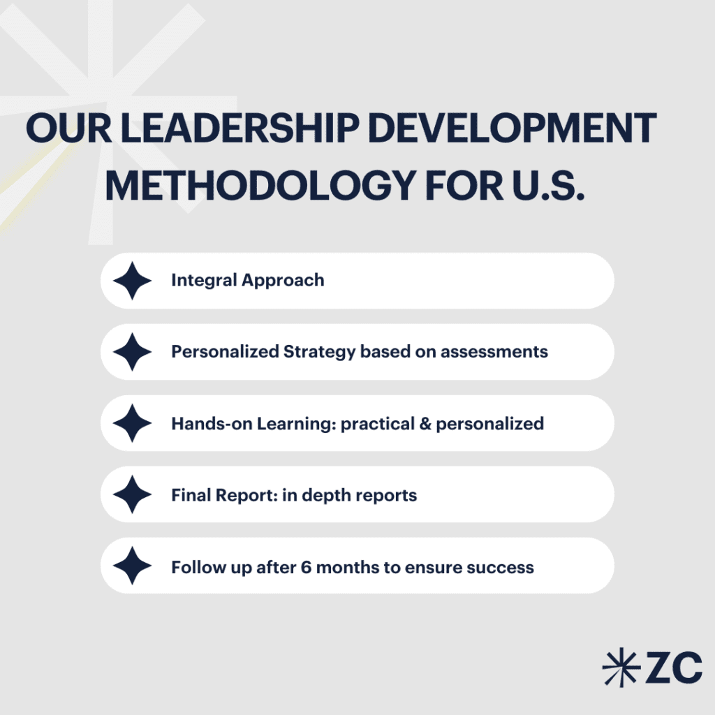 Executive Development and Assessment in the U.S. as Strategy